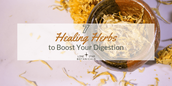 Herbs for Digestion: 7 Healing Herbs to Boost Your Digestive System ...