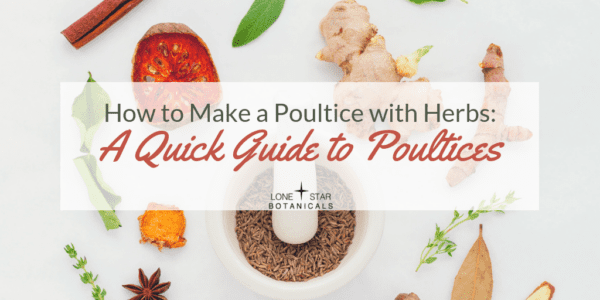 How to Make a Poultice with Herbs: A Quick Guide to Poultices - Lone ...