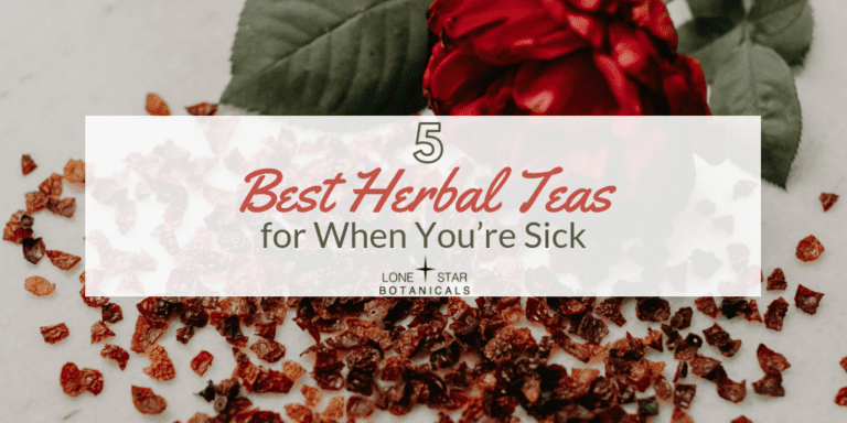 5 Best Herbal Teas for When You’re Sick - Lone Star Botanicals