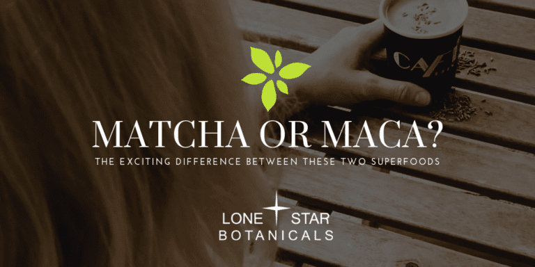Matcha or Maca? The Exciting Difference Between These Two Superfoods ...