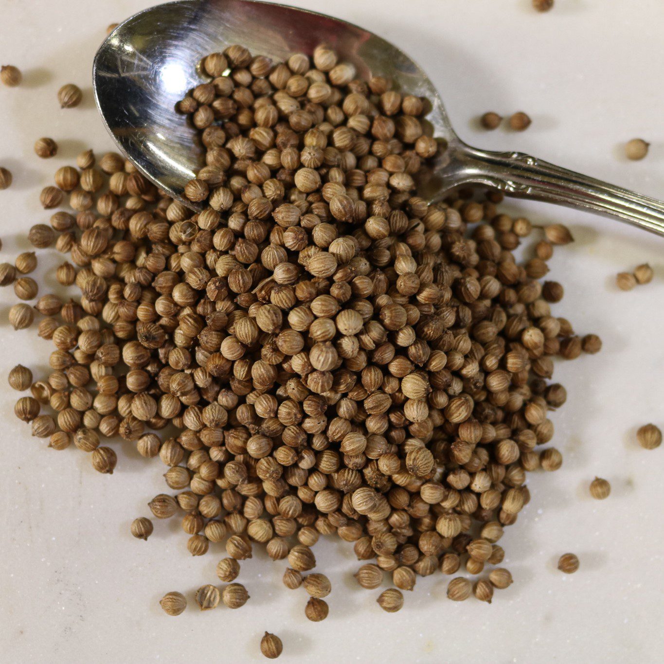 Coriander Seed Whole Conventional Lone Star Botanicals Coriander Seed Whole Conventional Lone Star Botanicals