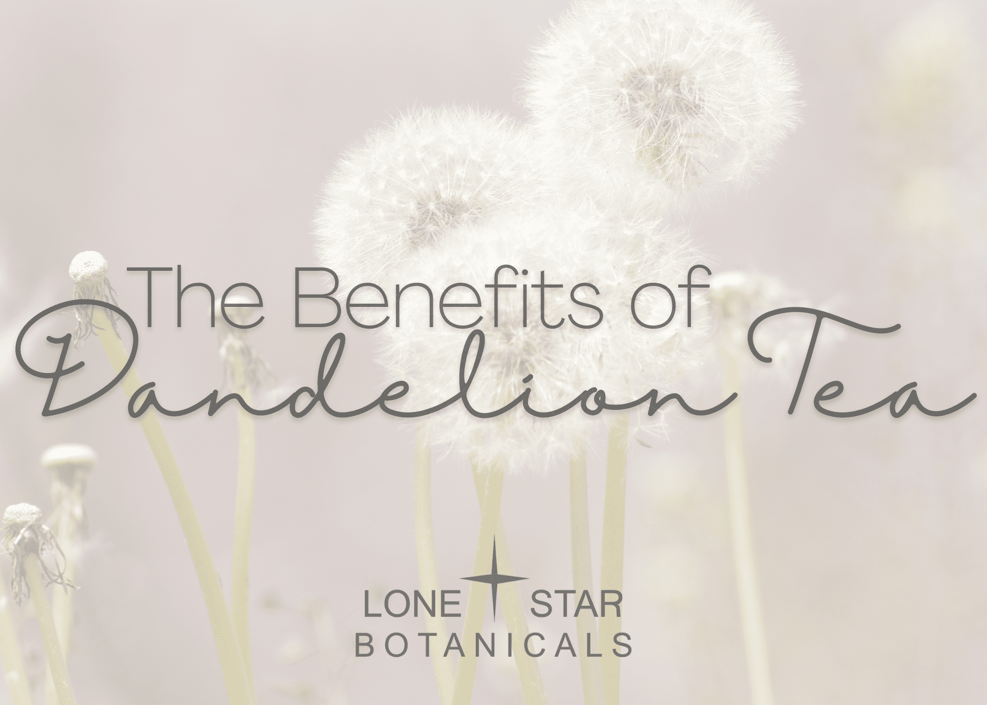 Lone Star Botanicals - Organic Herbs, Teas, Superfoods